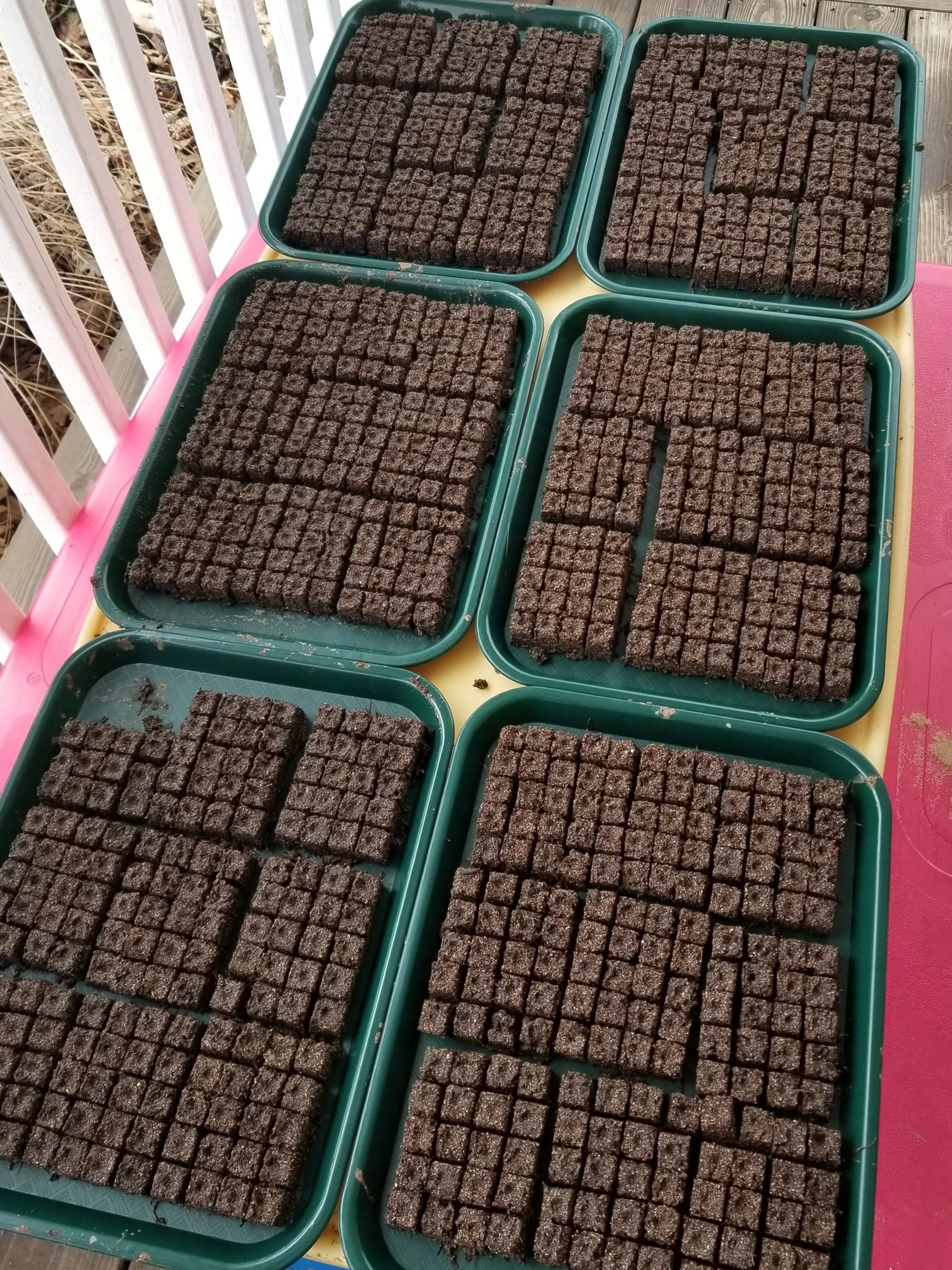 Seed Starting Indoors — Menkveld Farm | Cut Flower Education and Consulting