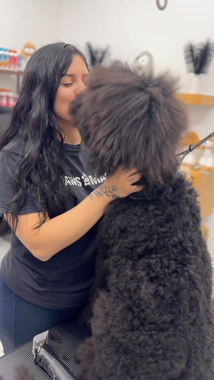 Riverside Salon — Paws At Main