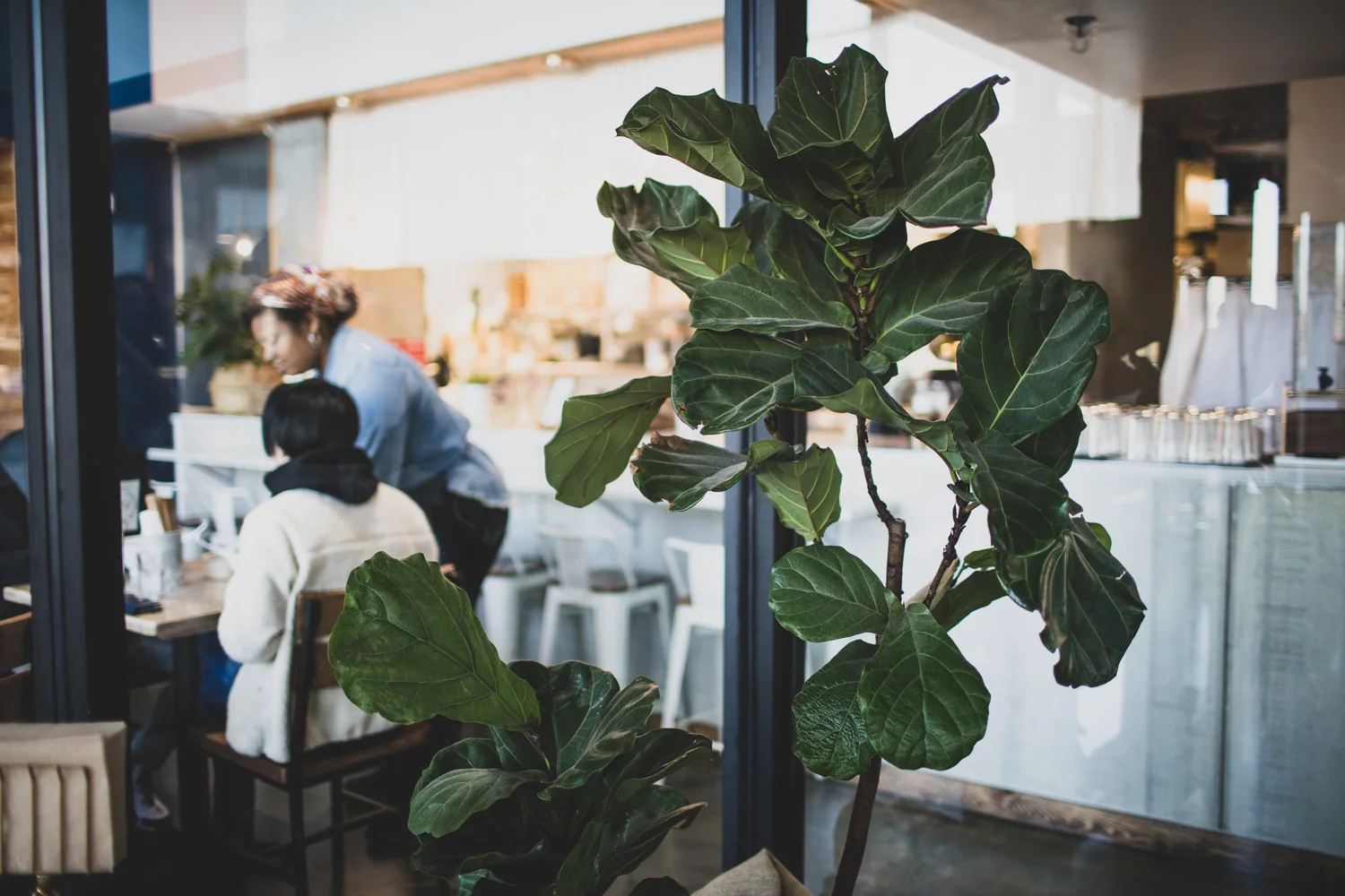 Japanese-Inspired Drinks and Desserts at Momo Cafe in Midtown Atlanta ...
