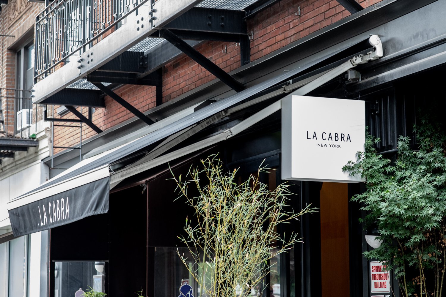 A Coffee Experience and Minimalism in Design at La Cabra in the East ...