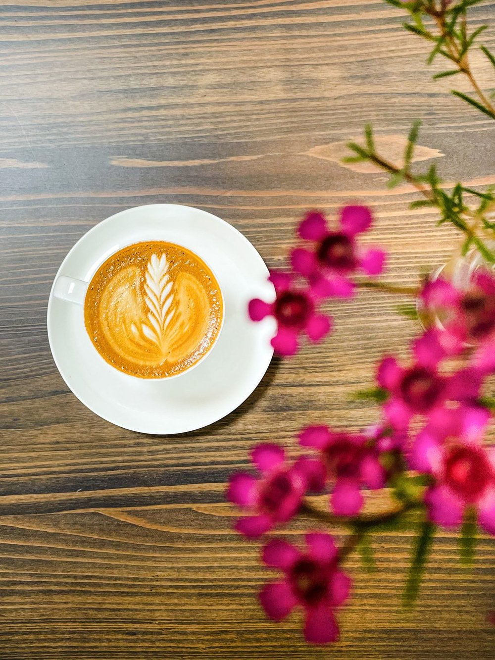 Highlights from the Spring Block Party at Daily Chew — Atlanta Coffee Shops