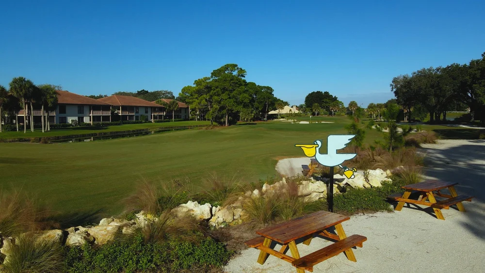 Projects — Insite Studio