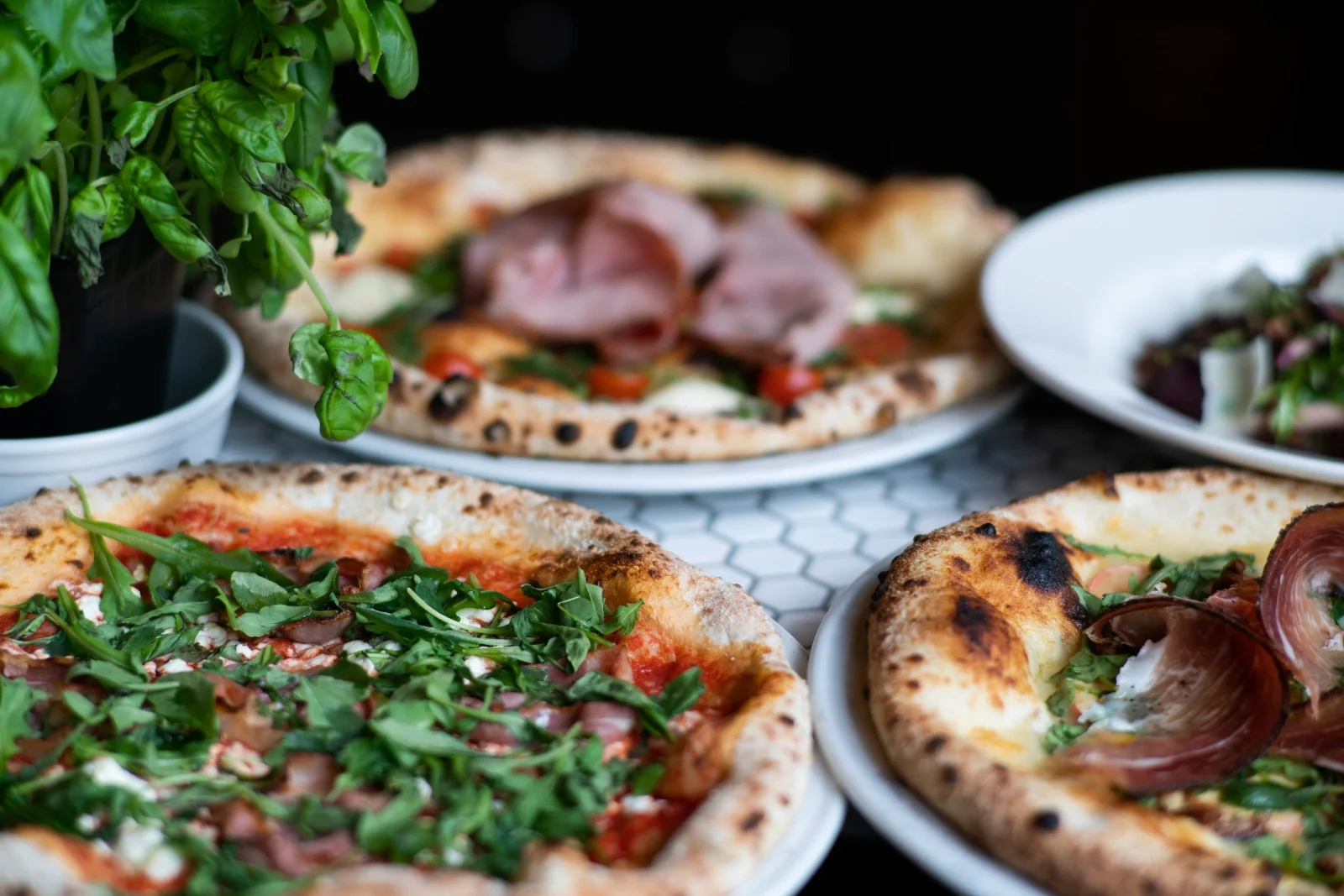 Welcome — Pizzeria Magpie