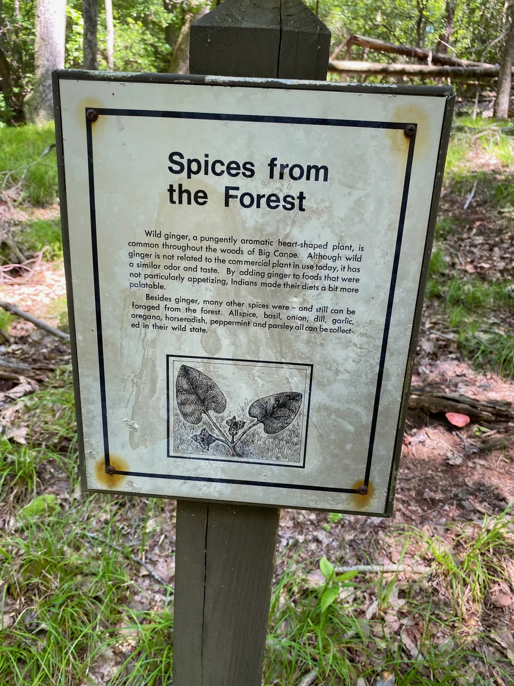 Indian Rocks — Big Canoe Trails