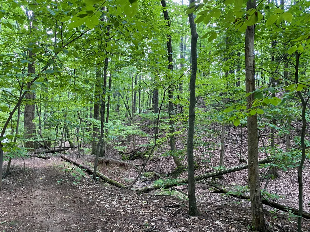 Indian Rocks — Big Canoe Trails