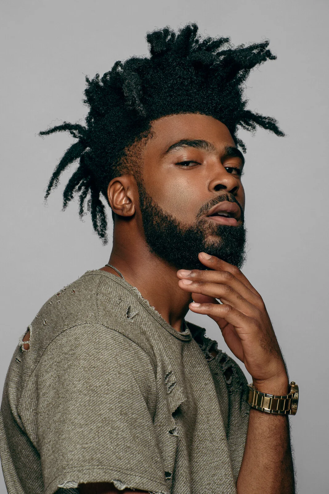 crown — alex d rogers studio