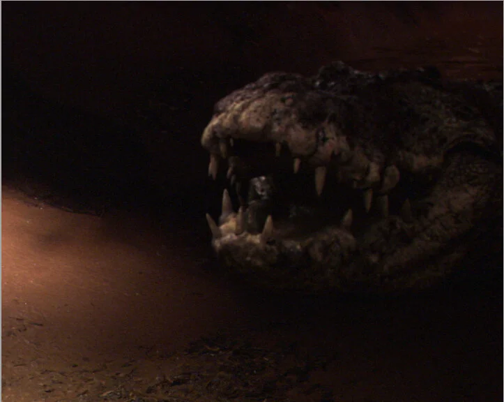 Rogue 2007 Crocodile