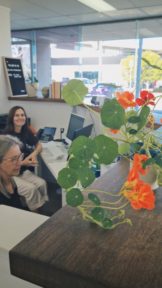 Lively Physiotherapy | Mackay Physio | Sam Dunn & Stephanie Vanden-Bergh