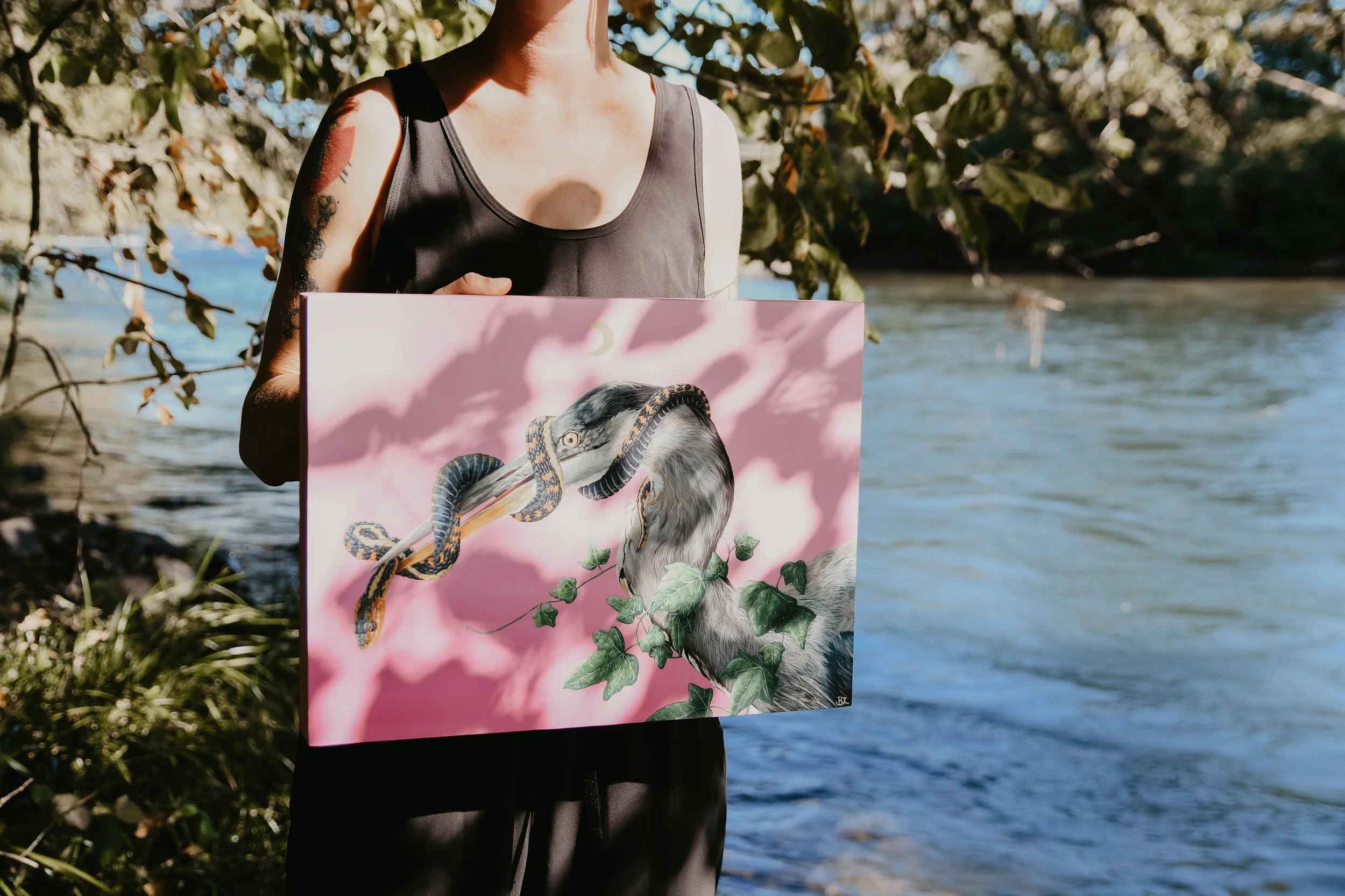 Bekah Zeimetz | Wildlife Artist