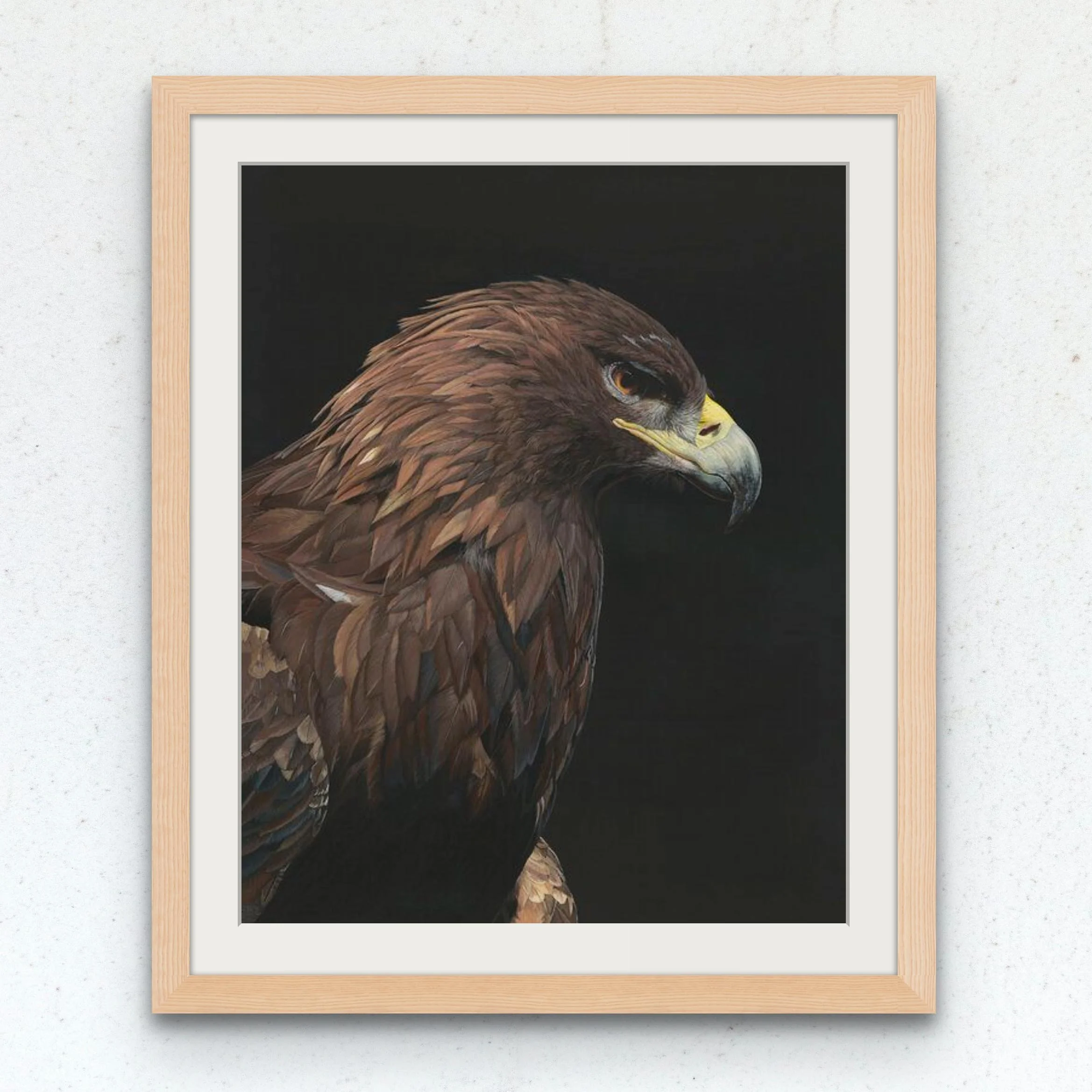 Wildlife and Nature Fine Art Prints — Bekah Zeimetz Art