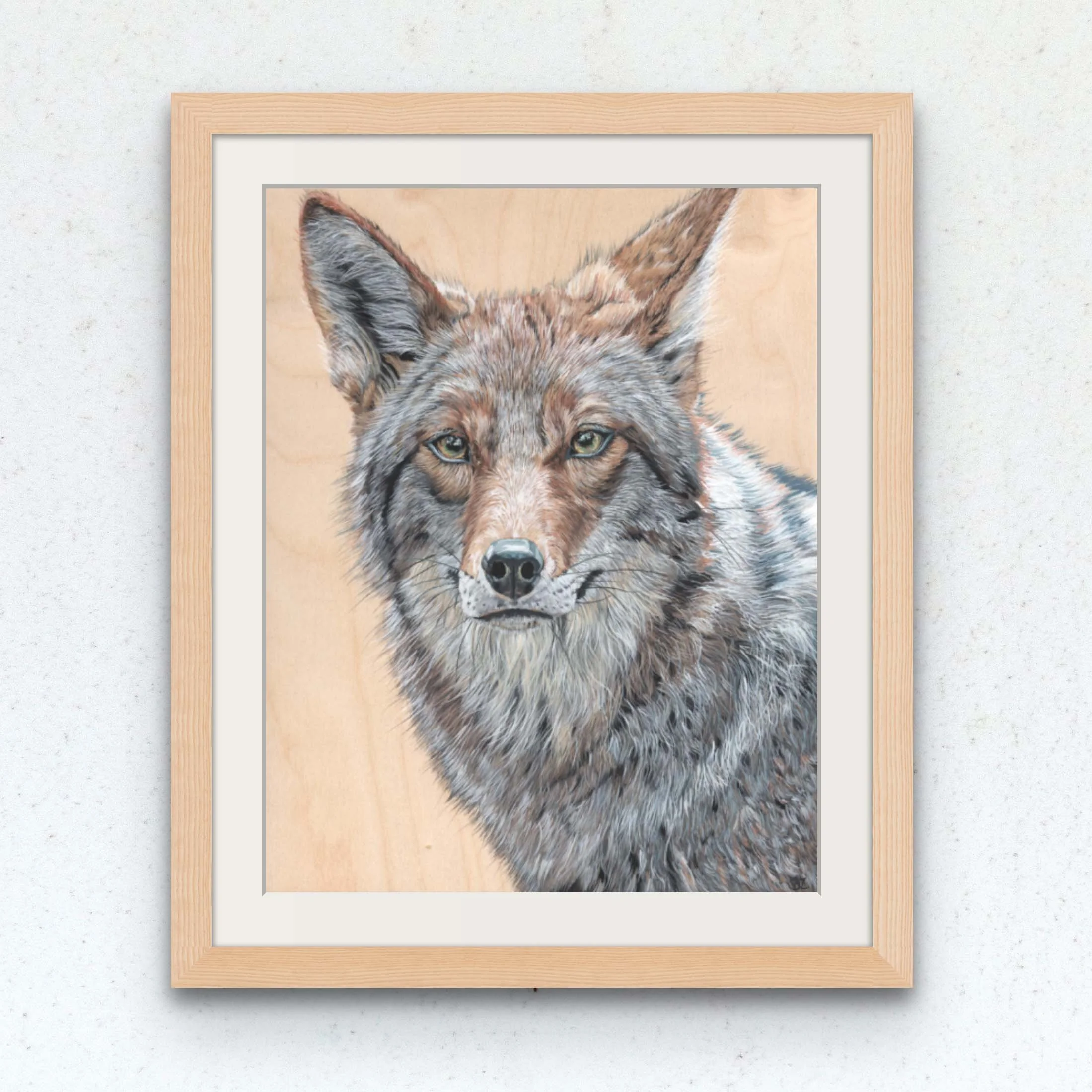 Wildlife and Nature Fine Art Prints — Bekah Zeimetz Art