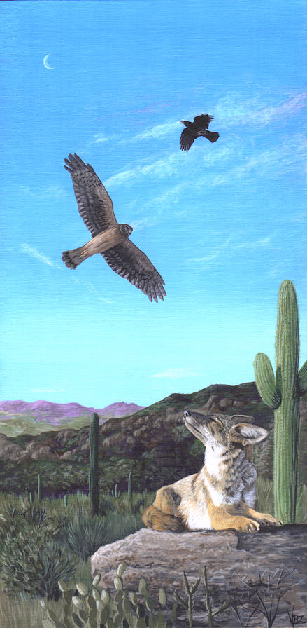 Wildlife and Nature Fine Art Prints — Bekah Zeimetz Art