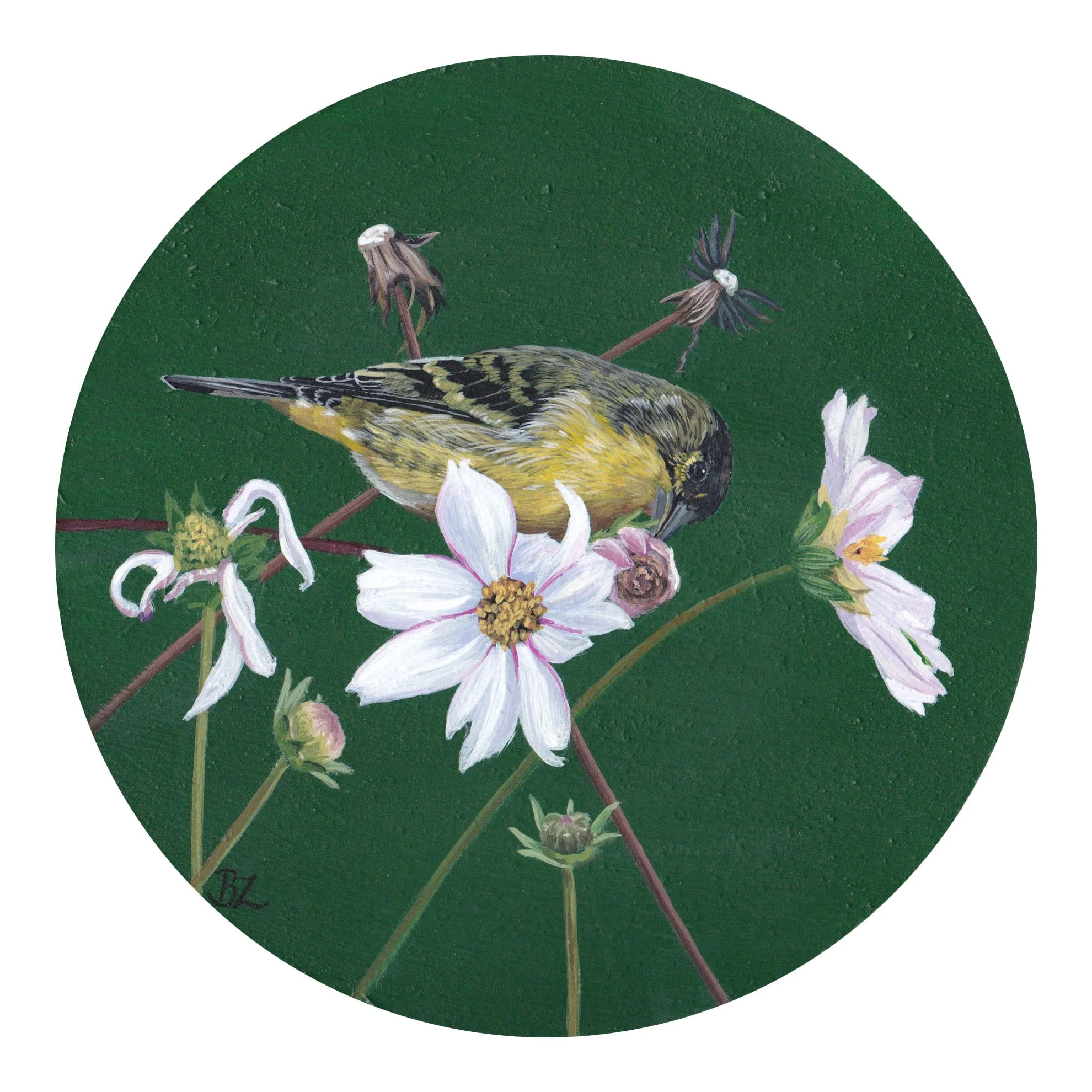 Wildlife and Nature Fine Art Prints — Bekah Zeimetz Art