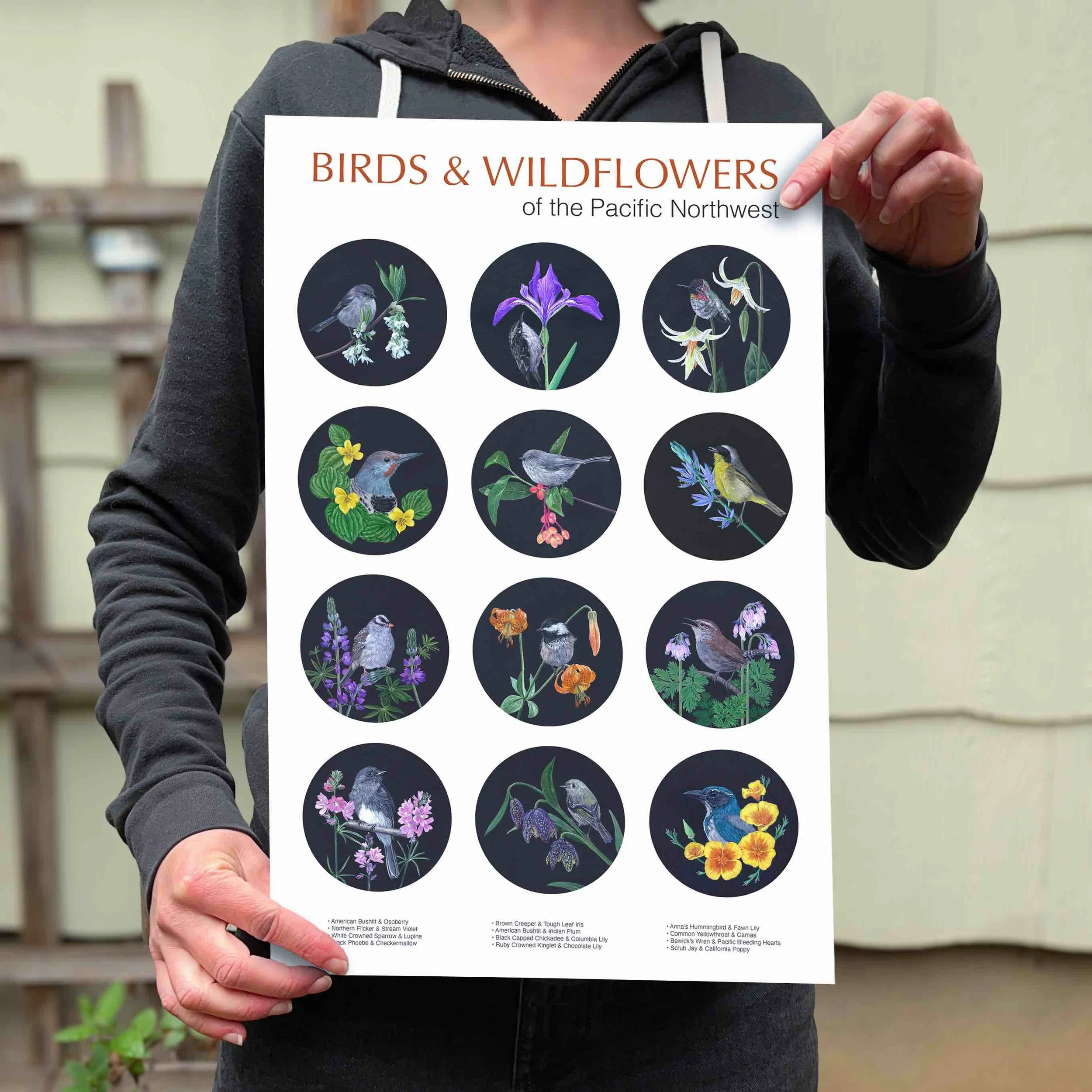 Wildlife and Nature Fine Art Prints — Bekah Zeimetz Art