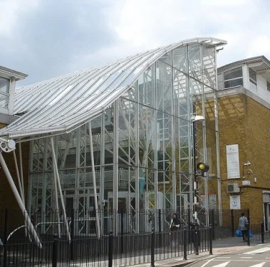 Website Content — Mind with Heart