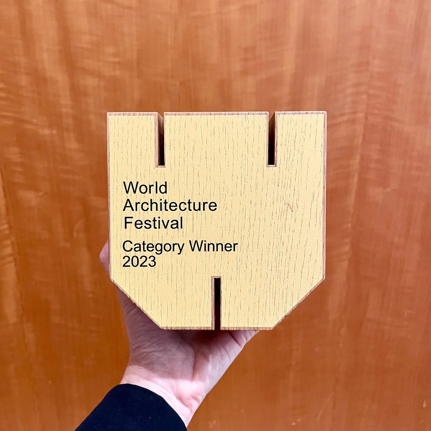 WAF Winner 2023 — PAVA