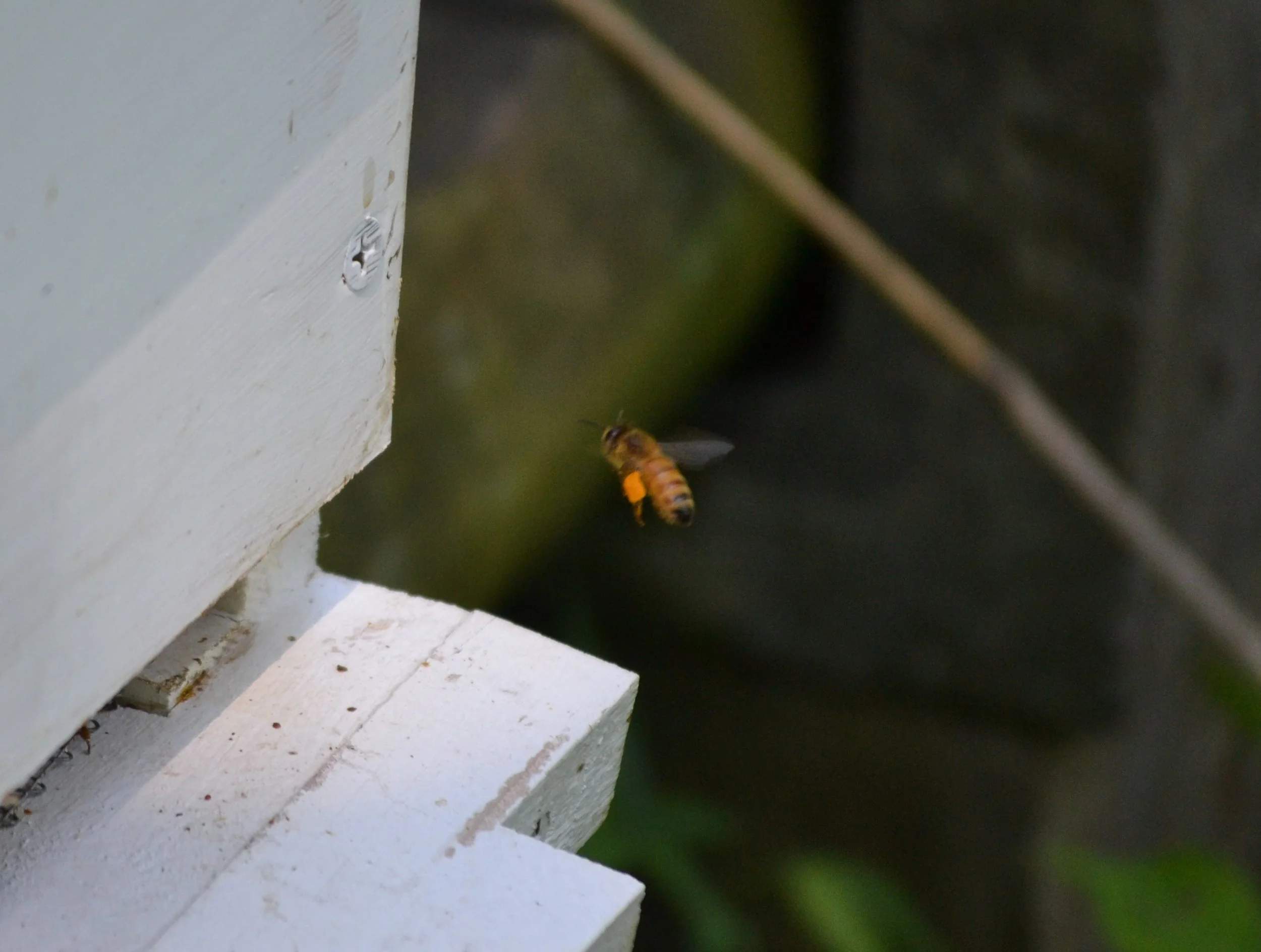 Pollination Stations