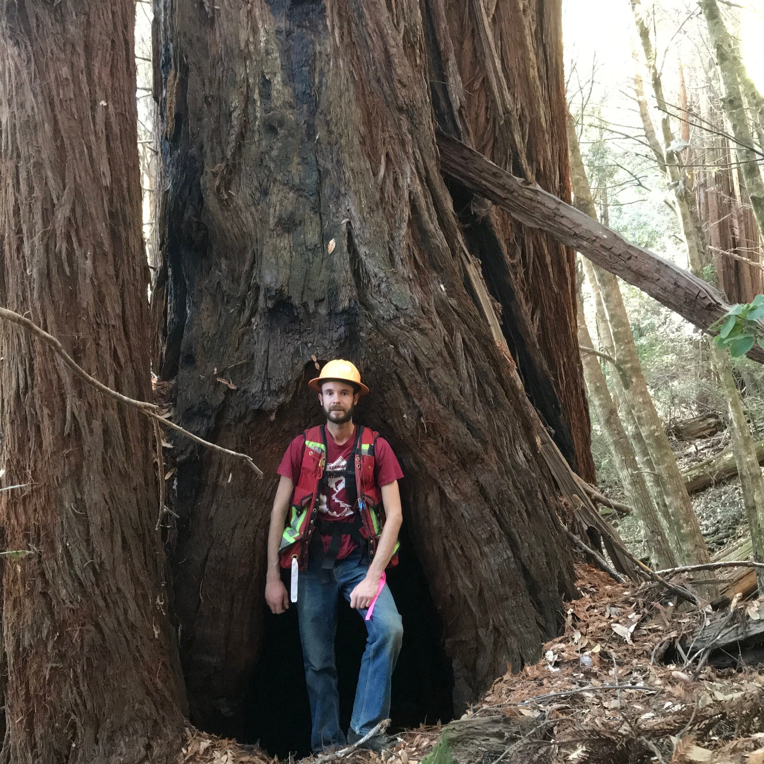 Board of Directors — California Licensed Foresters Association