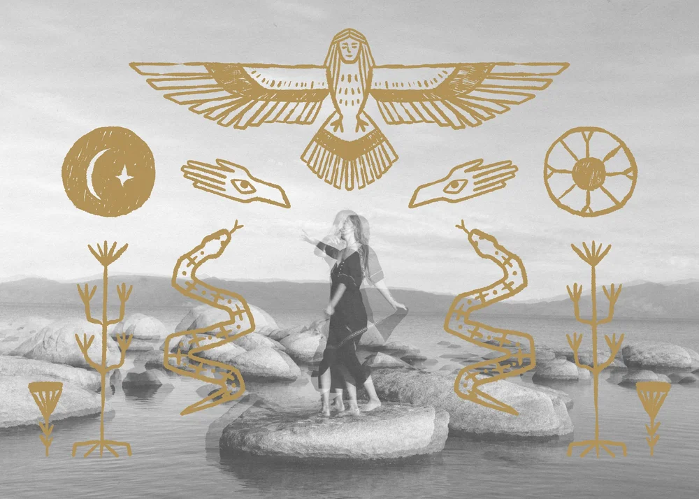 Ellen Walker Design
