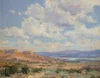 Paintings — Barbara Coleman OPA