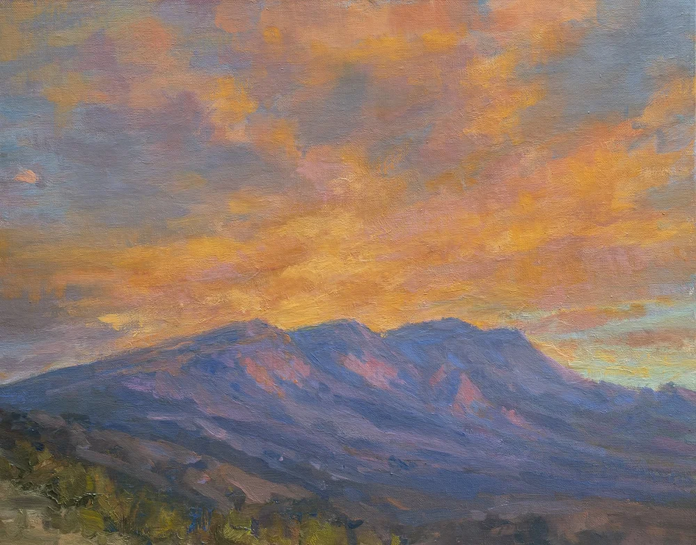 Paintings — Barbara Coleman OPA