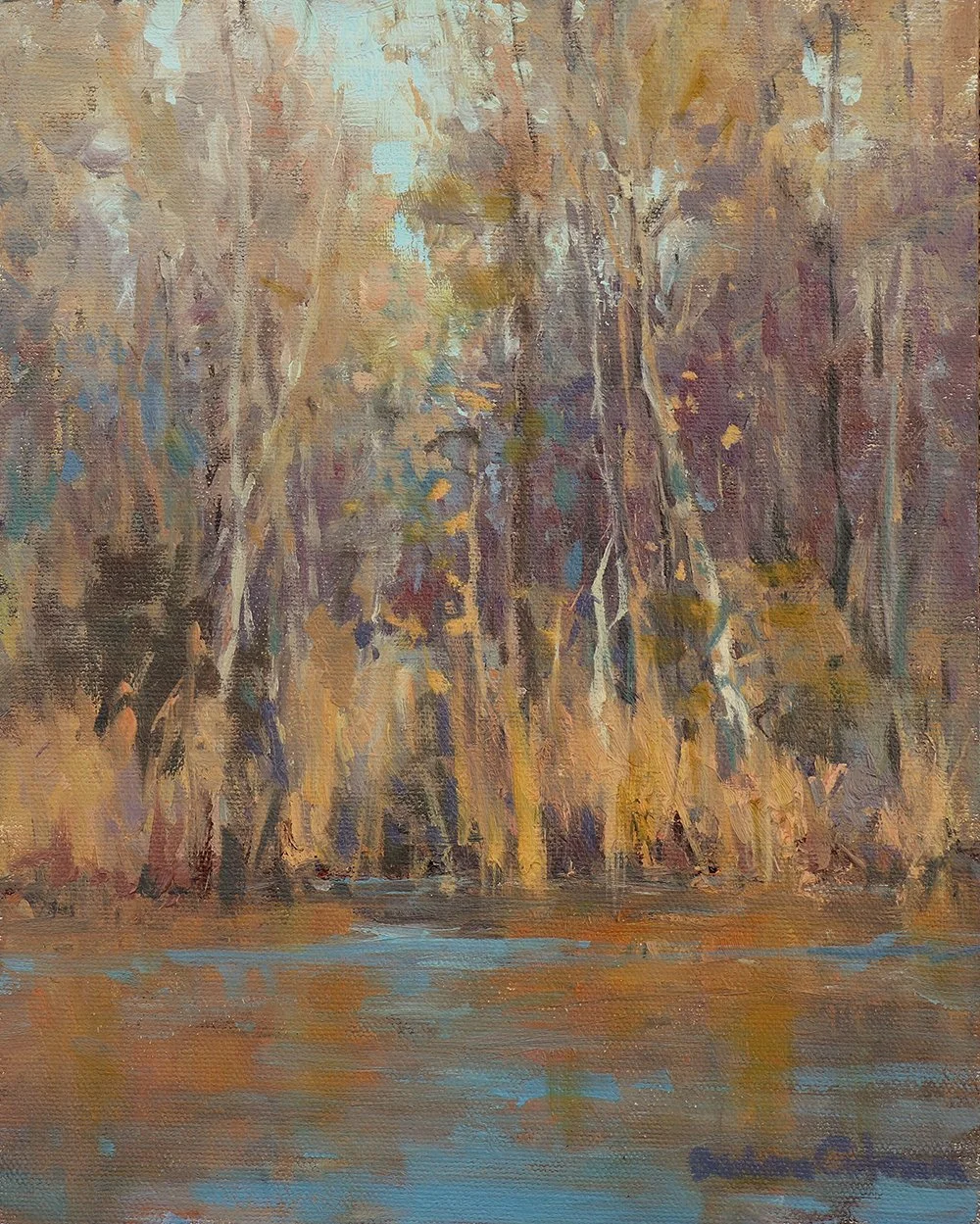 Home — Barbara Coleman OPA