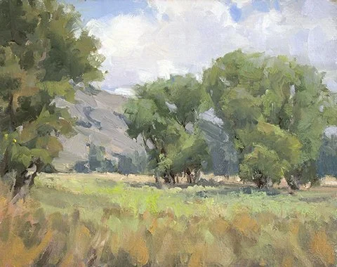 Paintings — Barbara Coleman
