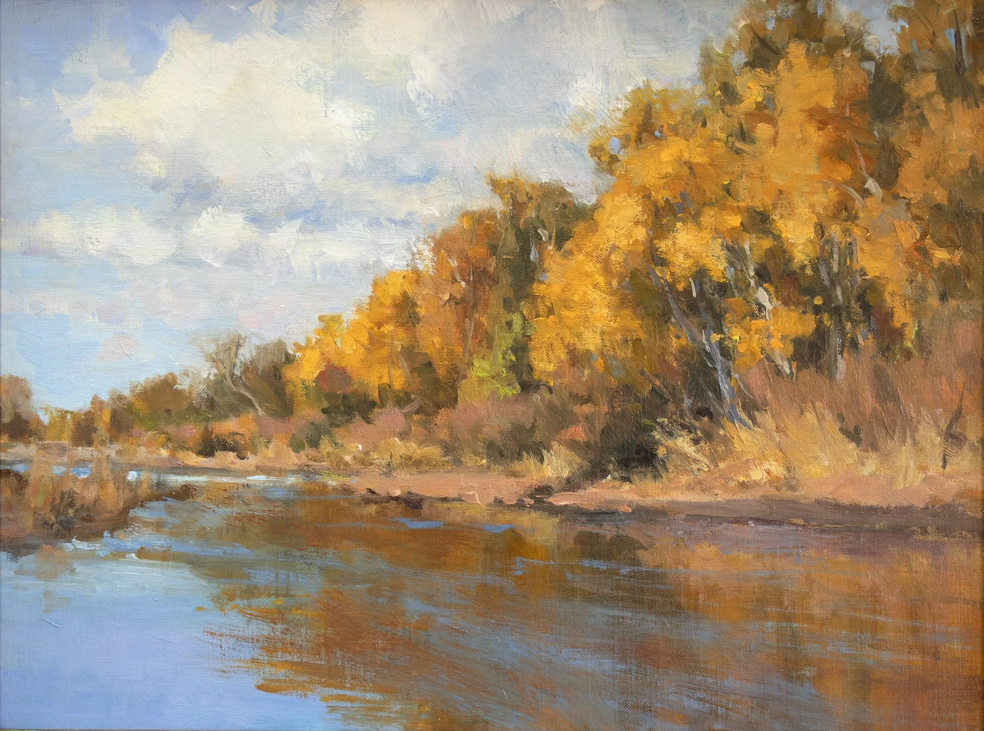 Home — Barbara Coleman OPA