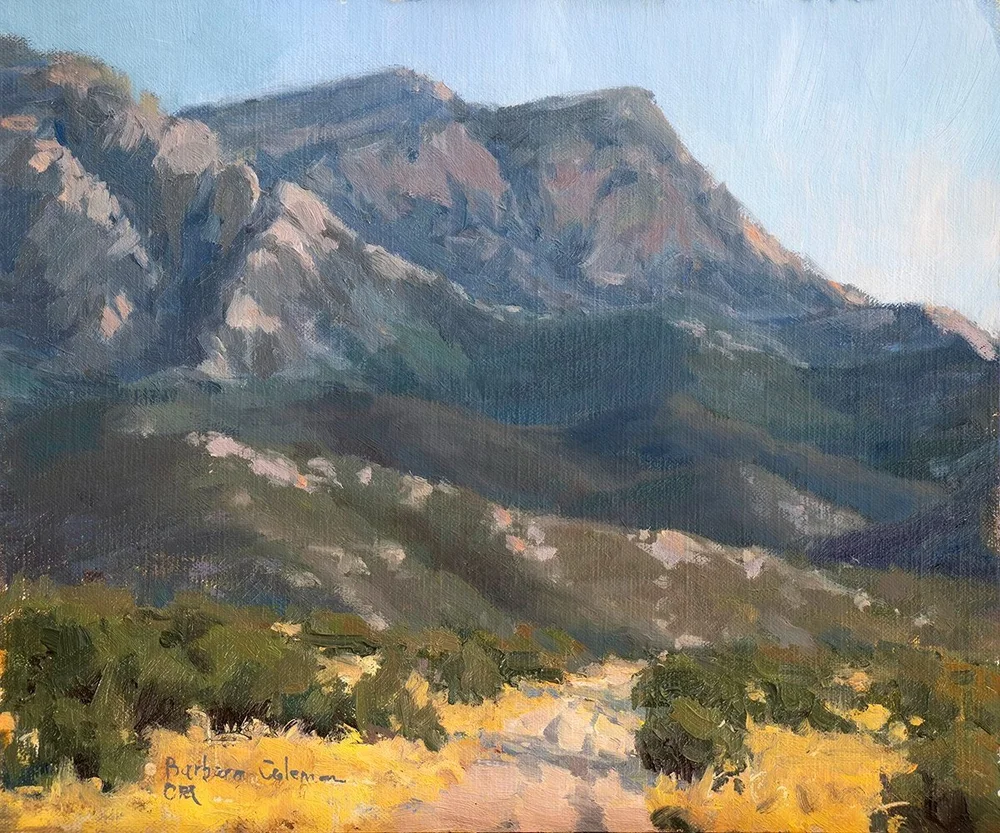 Paintings — Barbara Coleman OPA