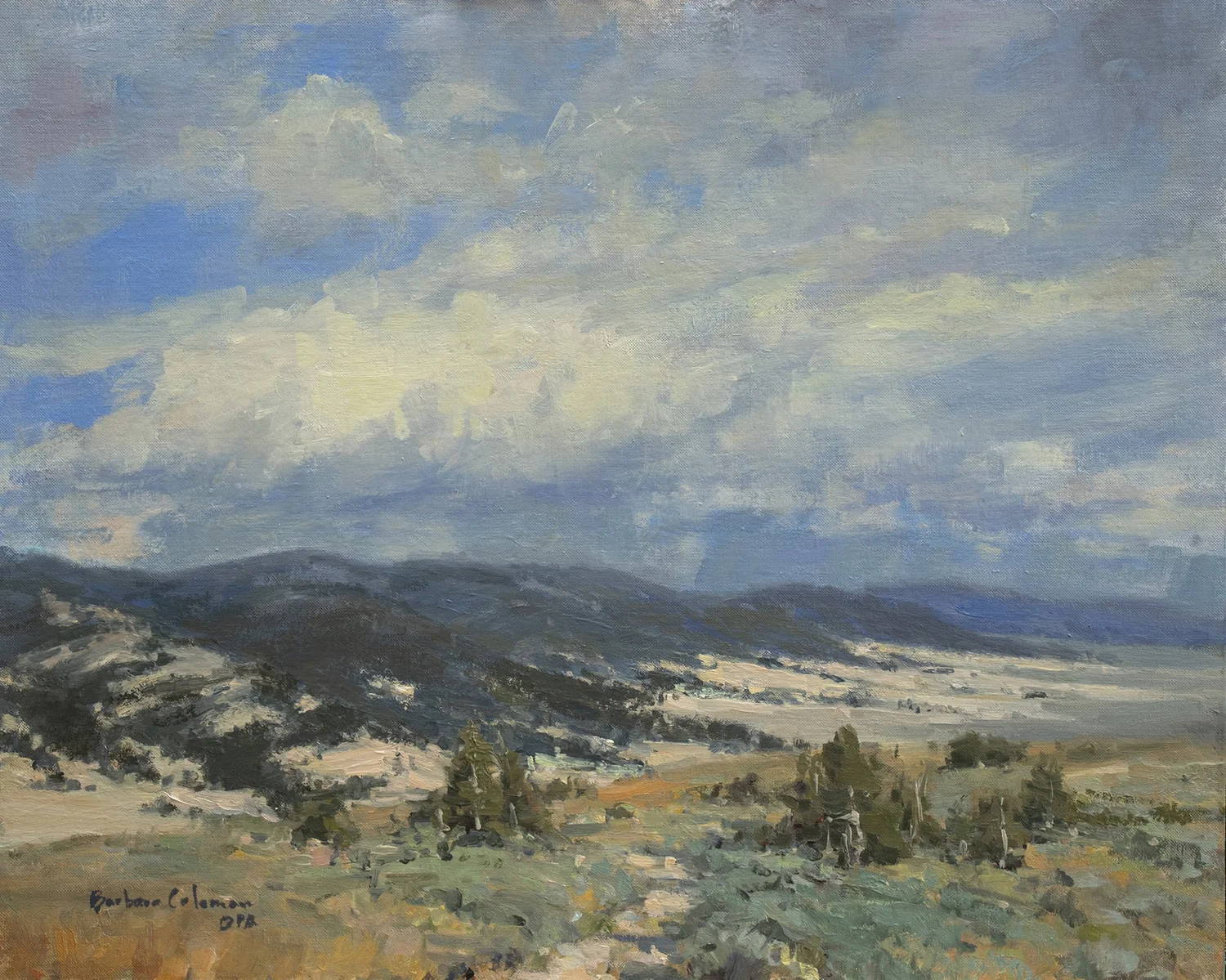 Paintings — Barbara Coleman OPA