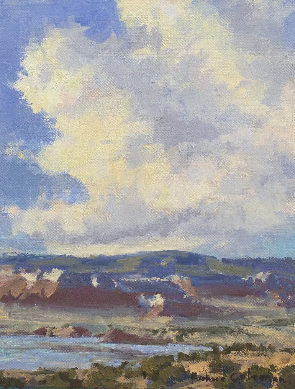 Paintings — Barbara Coleman OPA