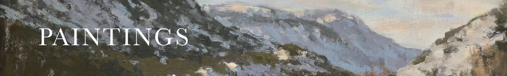 Paintings — Barbara Coleman