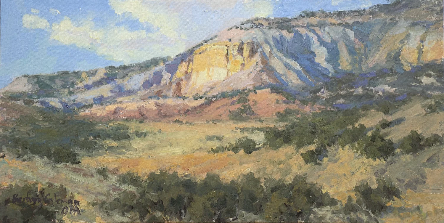Paintings — Barbara Coleman OPA