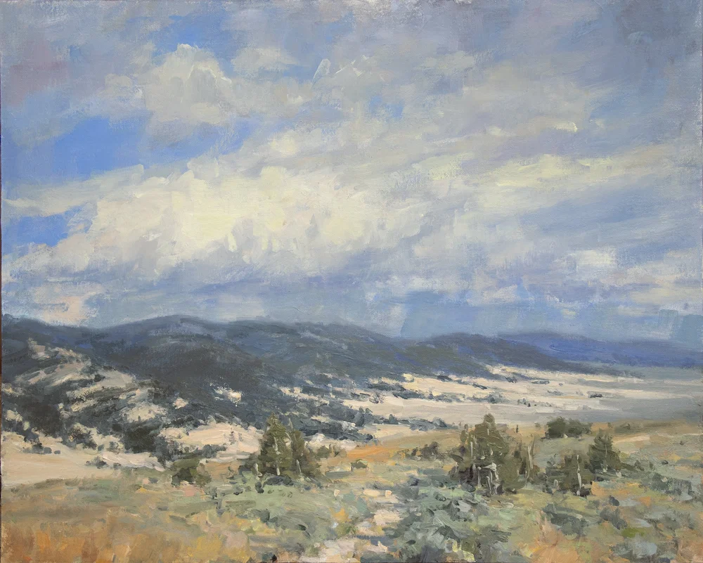 Paintings — Barbara Coleman OPA