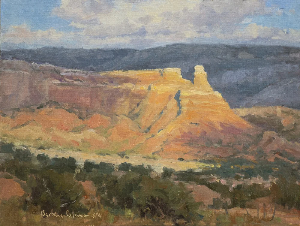 Paintings — Barbara Coleman OPA