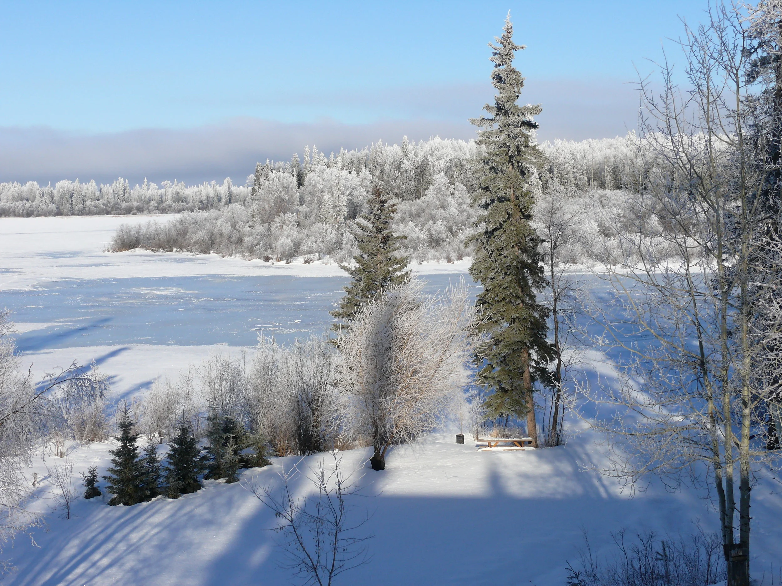 Cluculz Lake Community Association