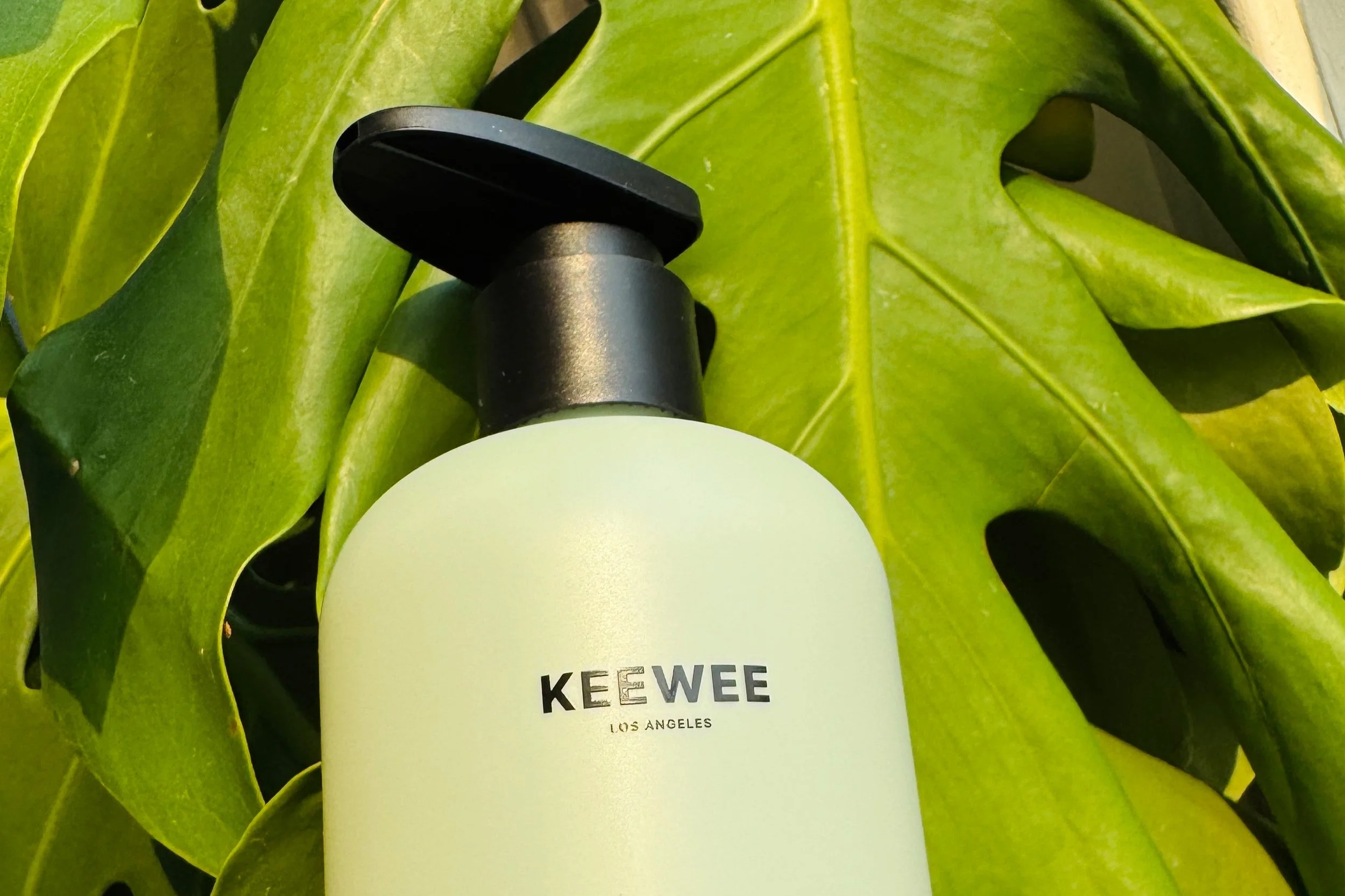 Edited Living for Modern Women