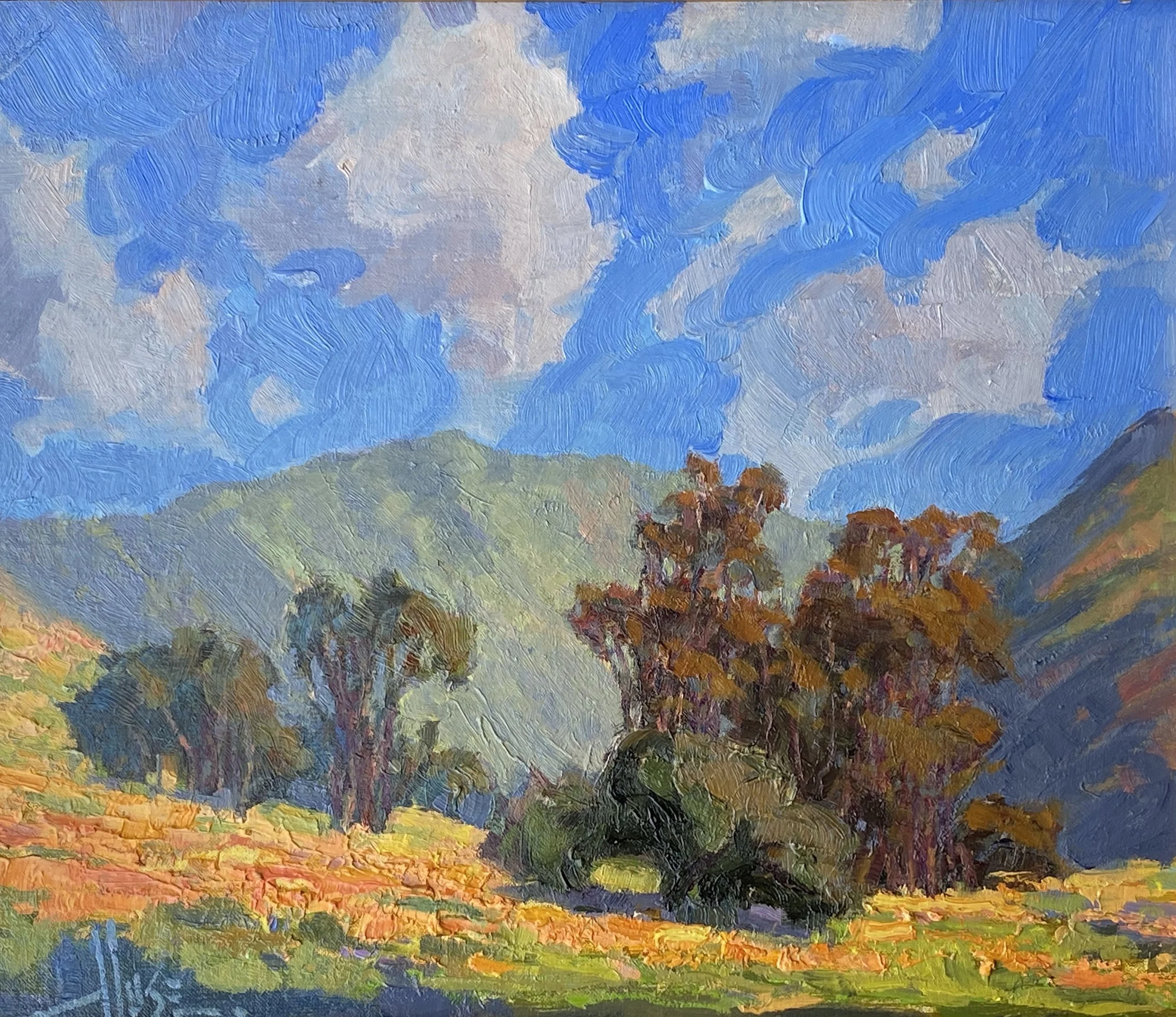 Debra Huse Artworks — Huse Skelly Gallery - The Plein Air Gallery ...