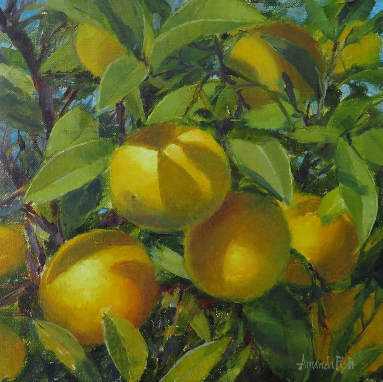 Amanda Fish Artworks — Huse Skelly Gallery - The Plein Air Gallery ...