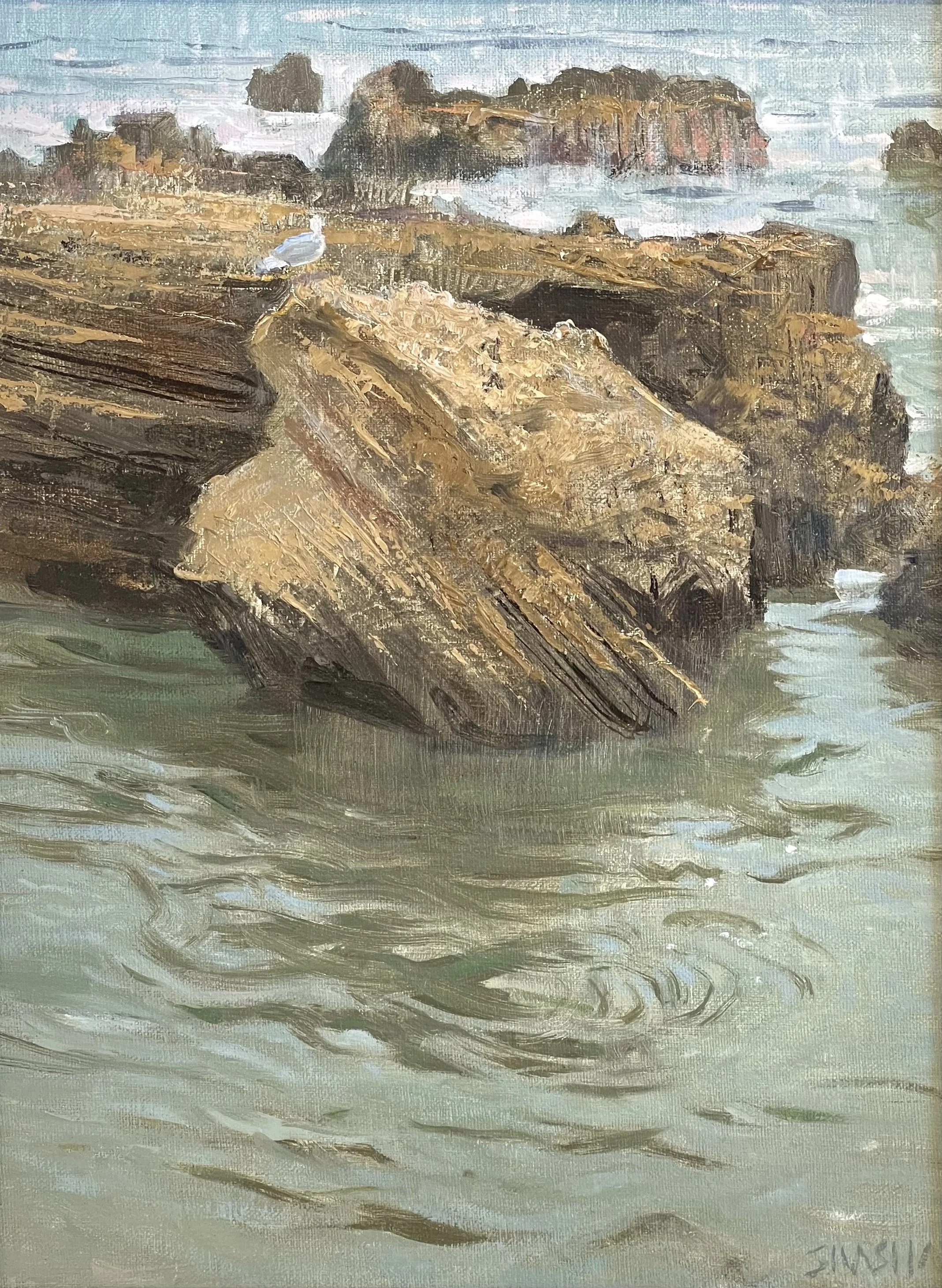 Mark Shasha — Huse Skelly Art Gallery - The Plein Air Gallery