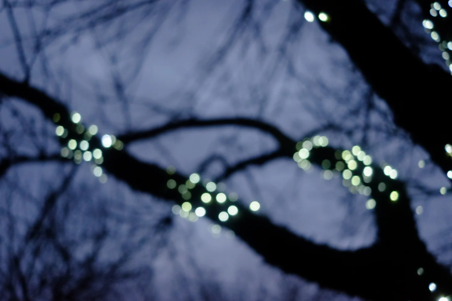 What does a soul look like? Light - A Meditation (Part 2) — Where the ...