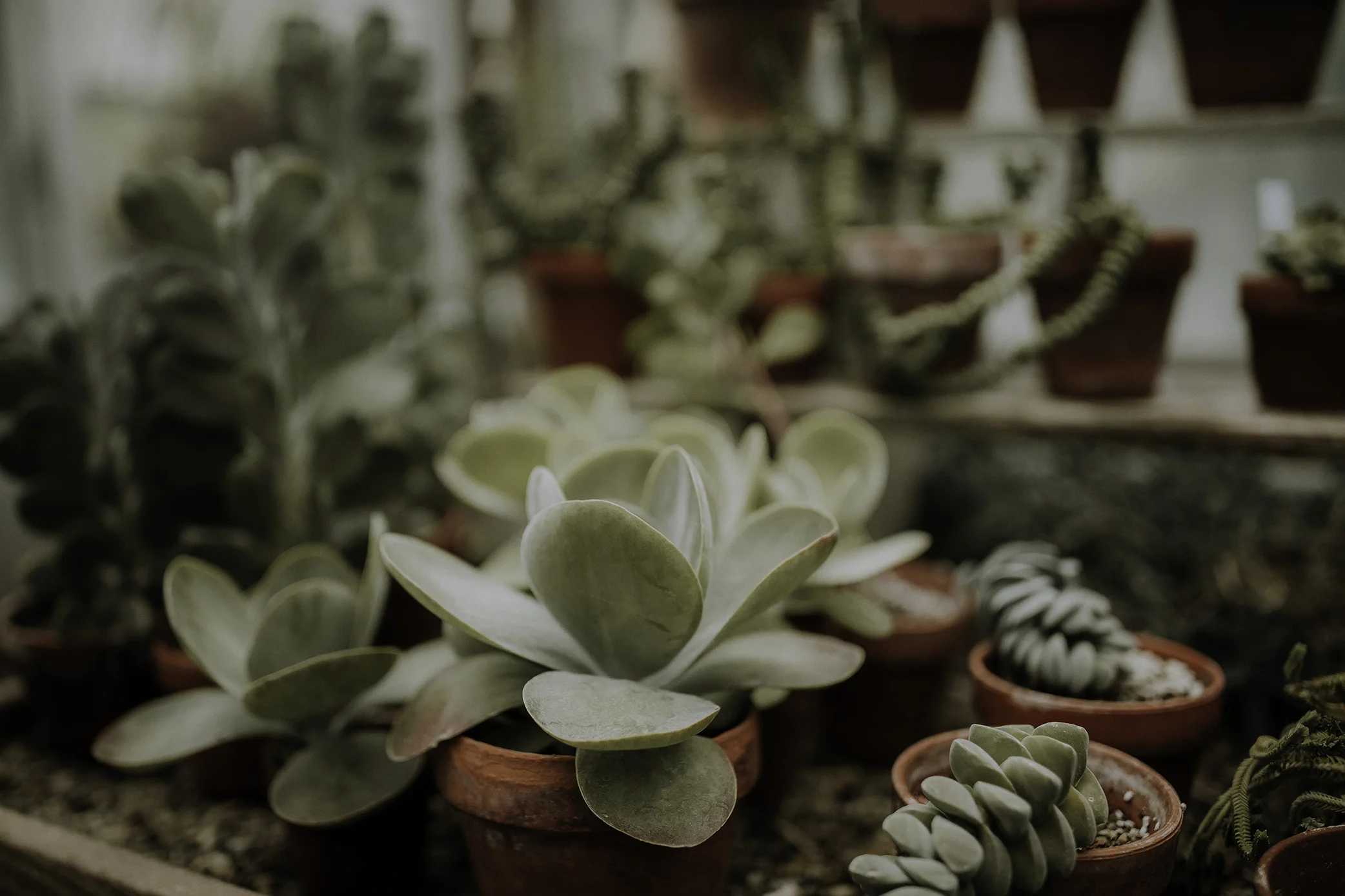 Amber Knight Photography