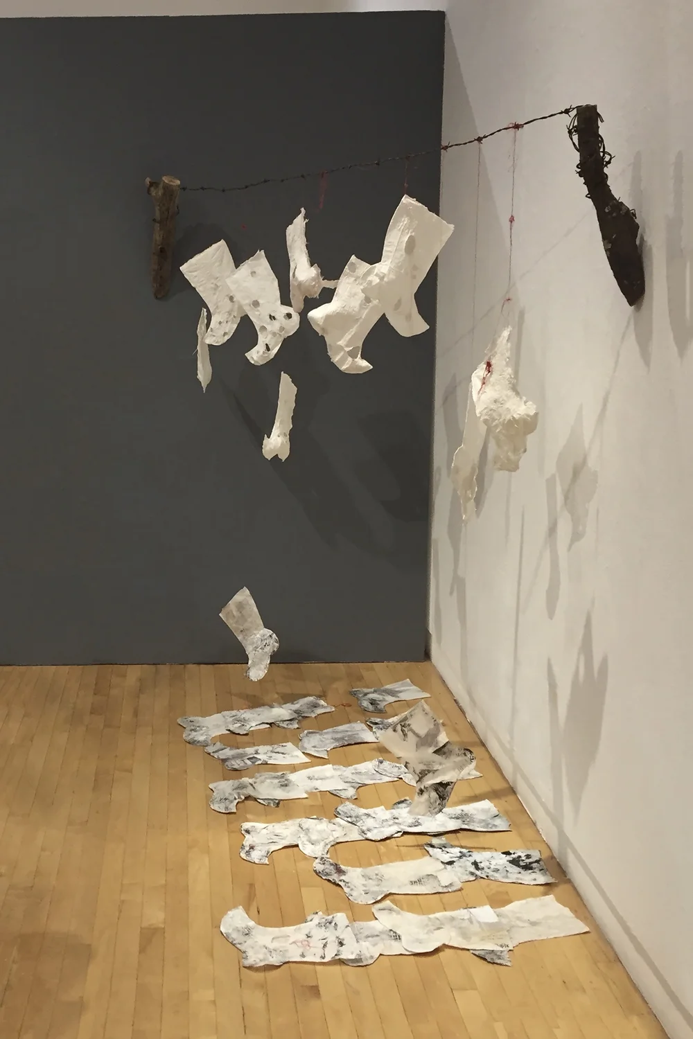 Social Issues — Jennifer Kim Sohn