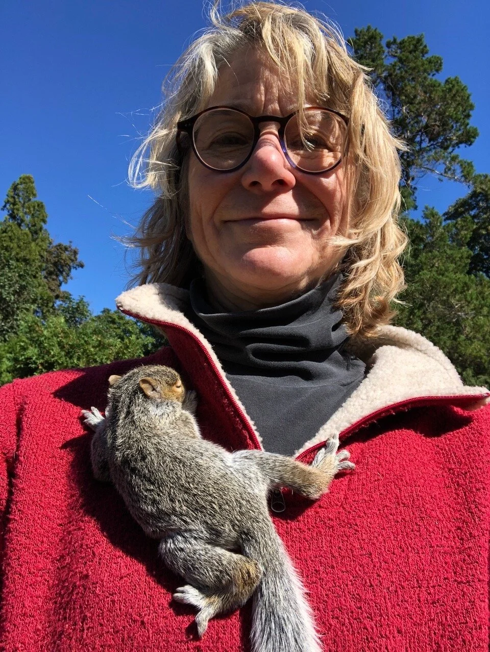 Carol Robey — RAA&M