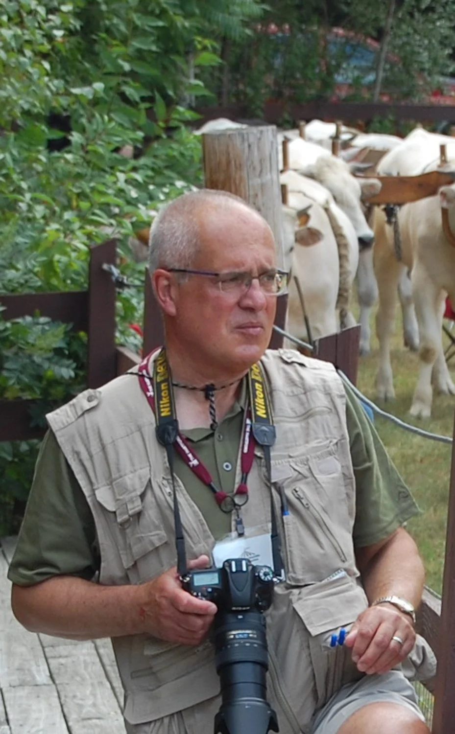 Stephen Delaney — RAA&M