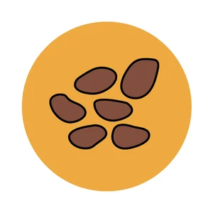 Poop 101 — Womanly Magazine