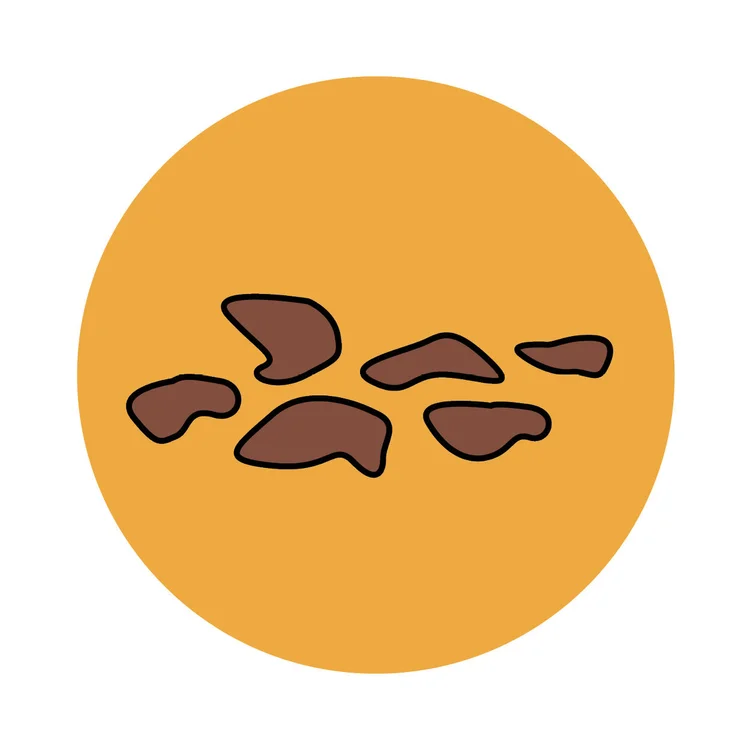 Poop 101 — Womanly Magazine