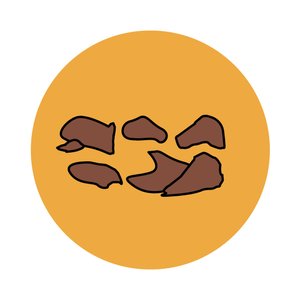 Poop 101 — Womanly Magazine
