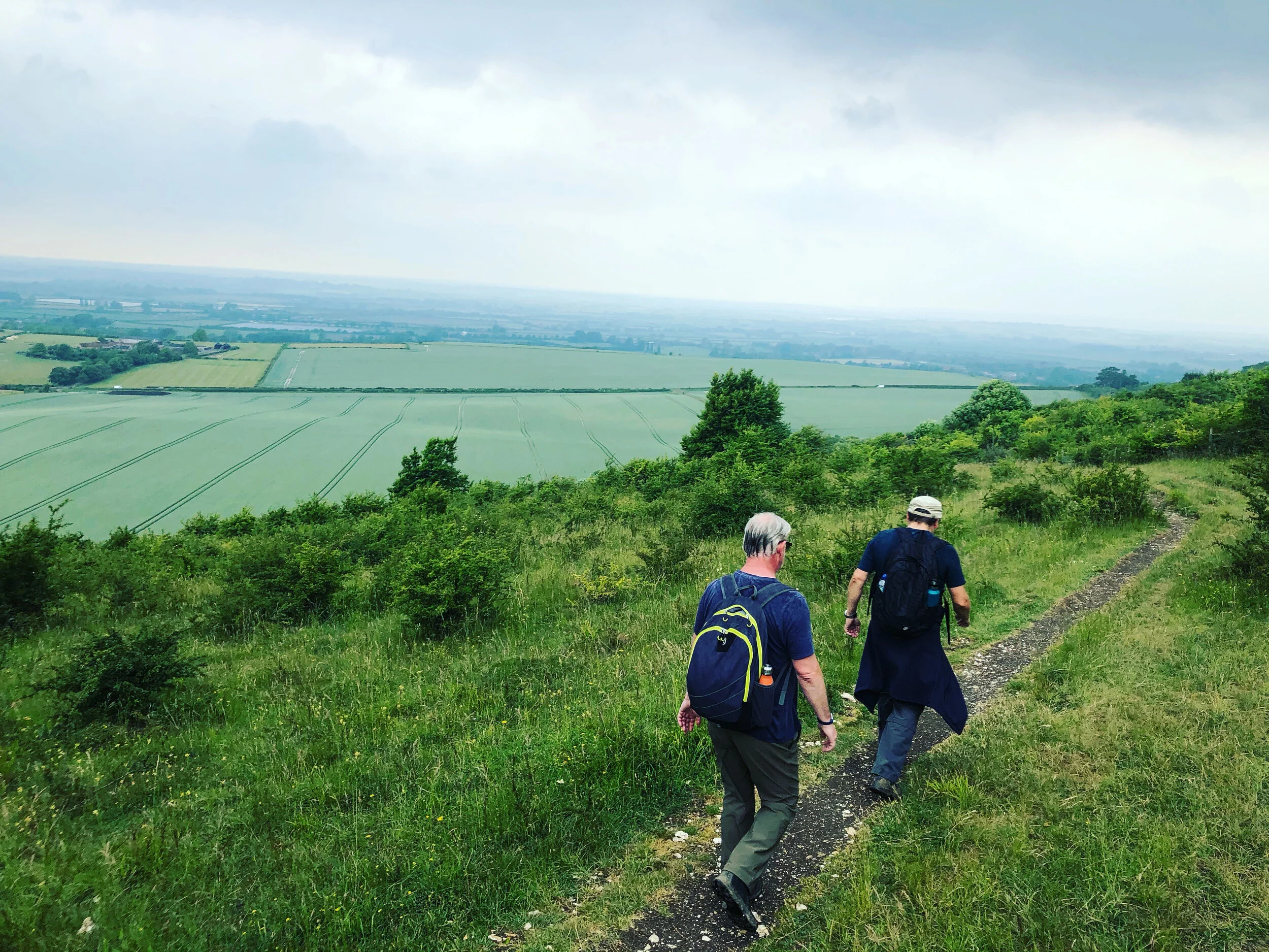Berkhamsted to Ivinghoe Beacon Loop Walk 17 miles (26km) — Walk Wild