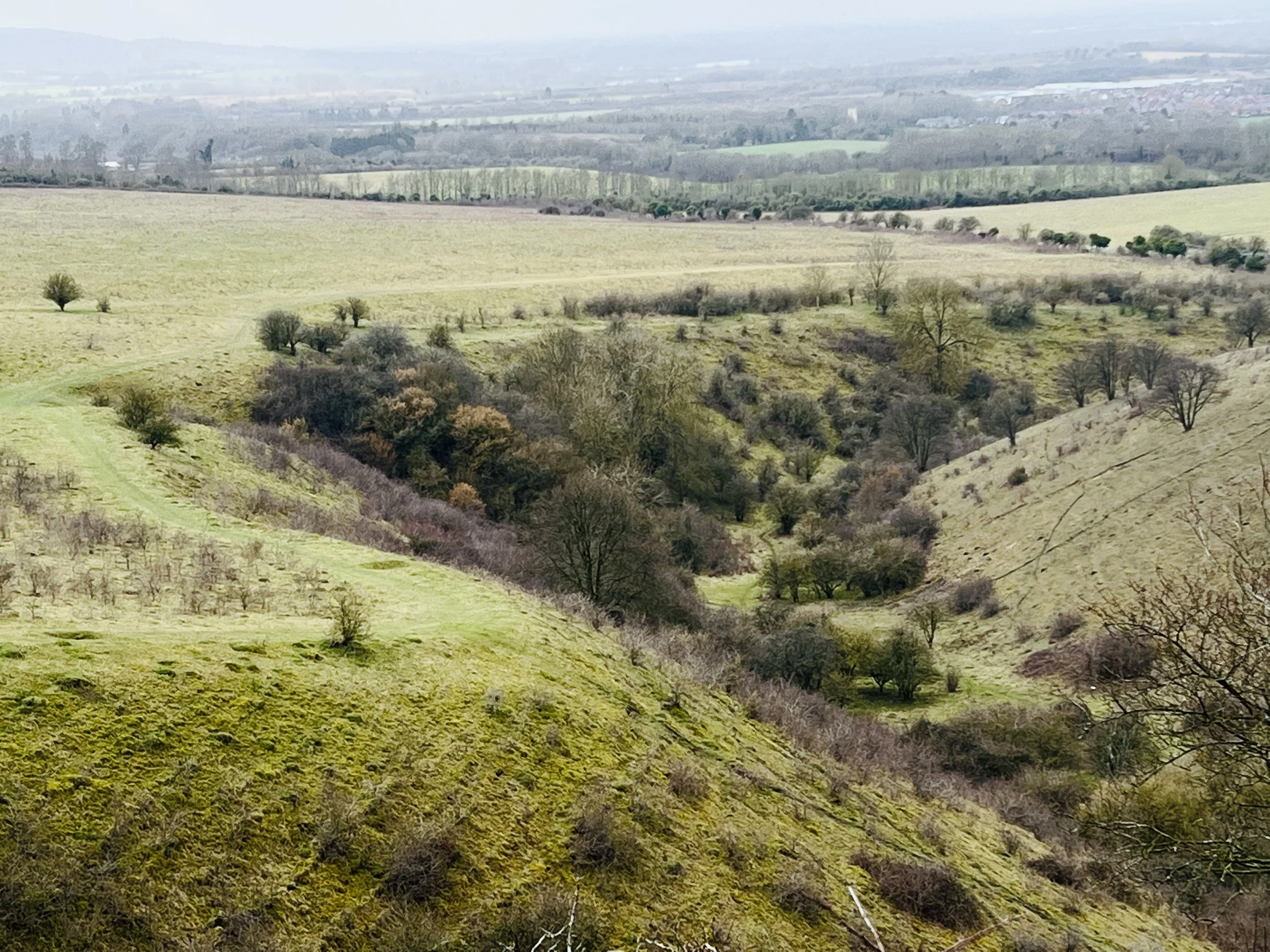 Berkhamsted to Ivinghoe Beacon Loop Walk 17 miles (26km) — Walk Wild